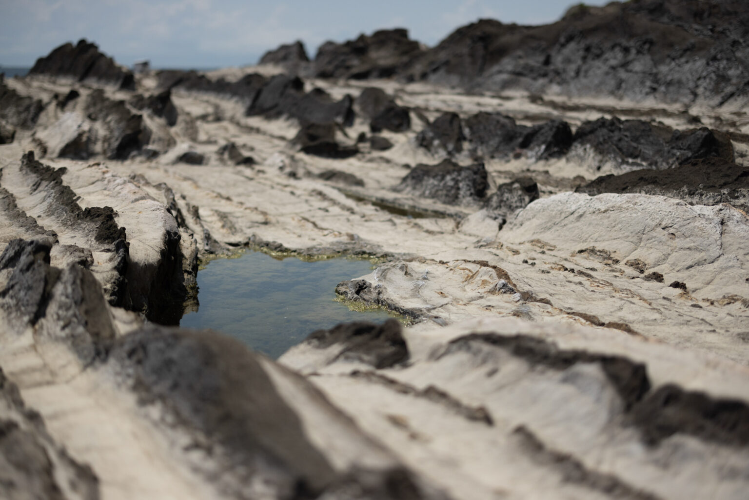 キヤノン RF50mm F1.2 L USMとRF50mm F1.8 STMを比較レビュー｜自然風景撮影での描写力の違いは？ | ShaSha