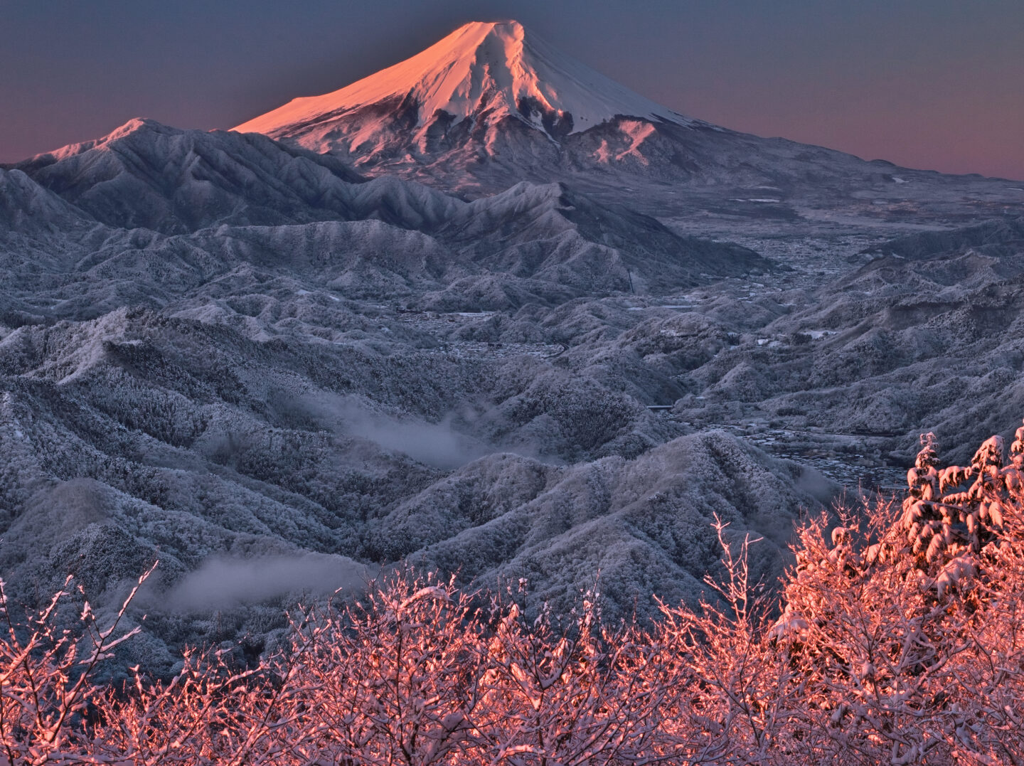 【募集終了】カメラのキタムラ フォトコンテスト2022〈秋冬〉のお知らせ | ShaSha