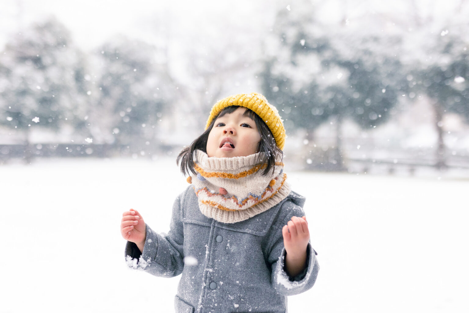カメラのキタムラ フォトコンテスト2022〈春夏〉入賞作品を発表！ | ShaSha