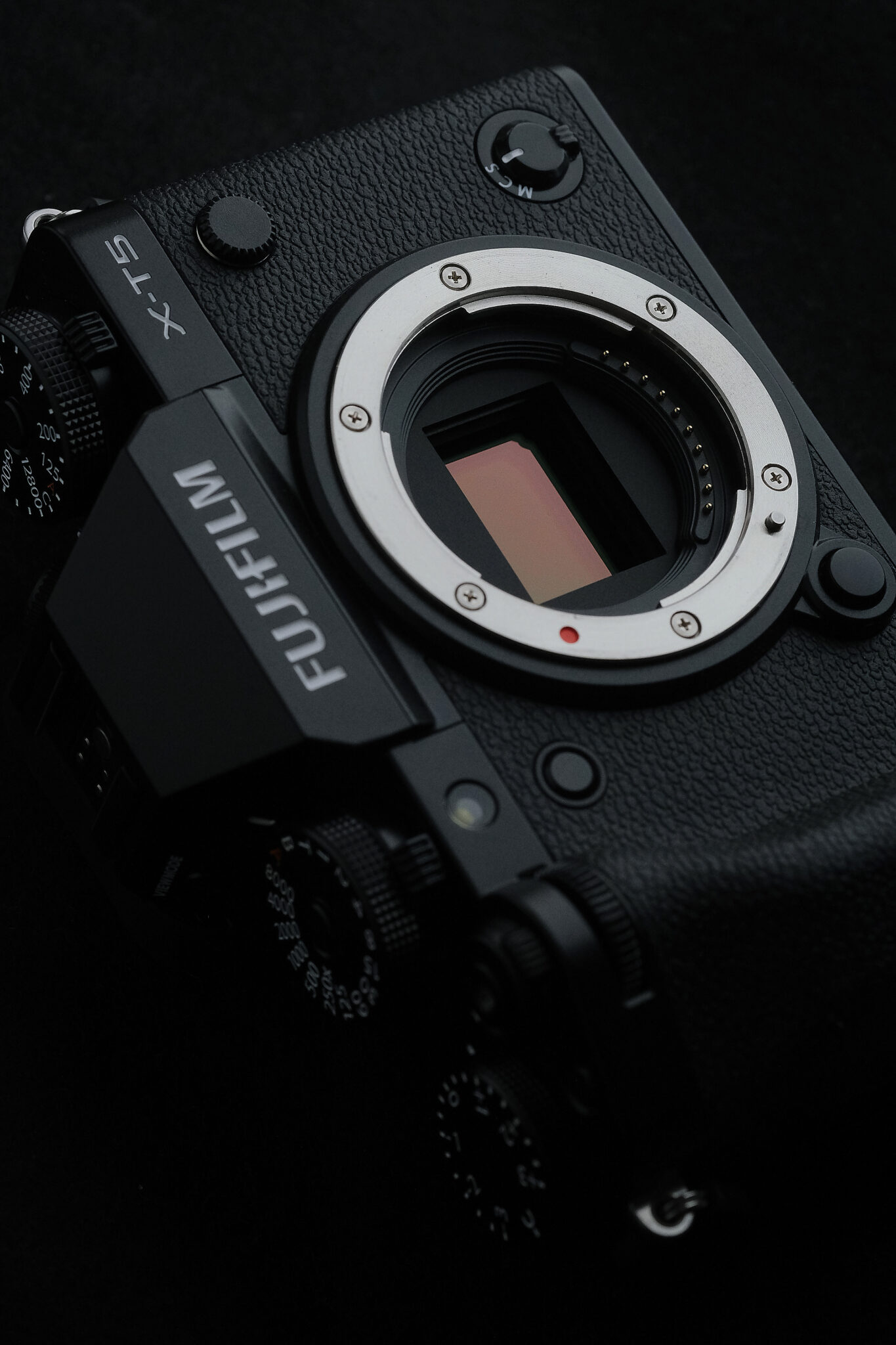 富士フイルム X-T5 レビュー｜撮る喜びが味わえる写真撮影特化の1台 | ShaSha