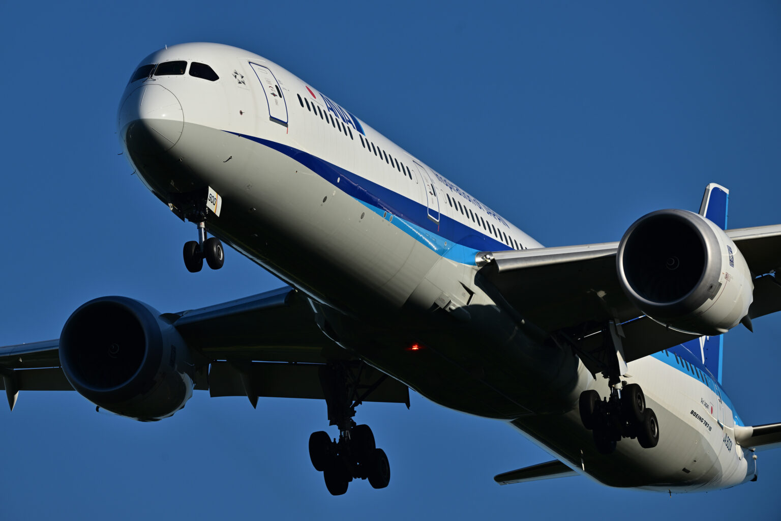 ニコン NIKKOR Z 600mm f/4 TC VR S｜野鳥、飛行機撮影でのインプレッション | ShaSha