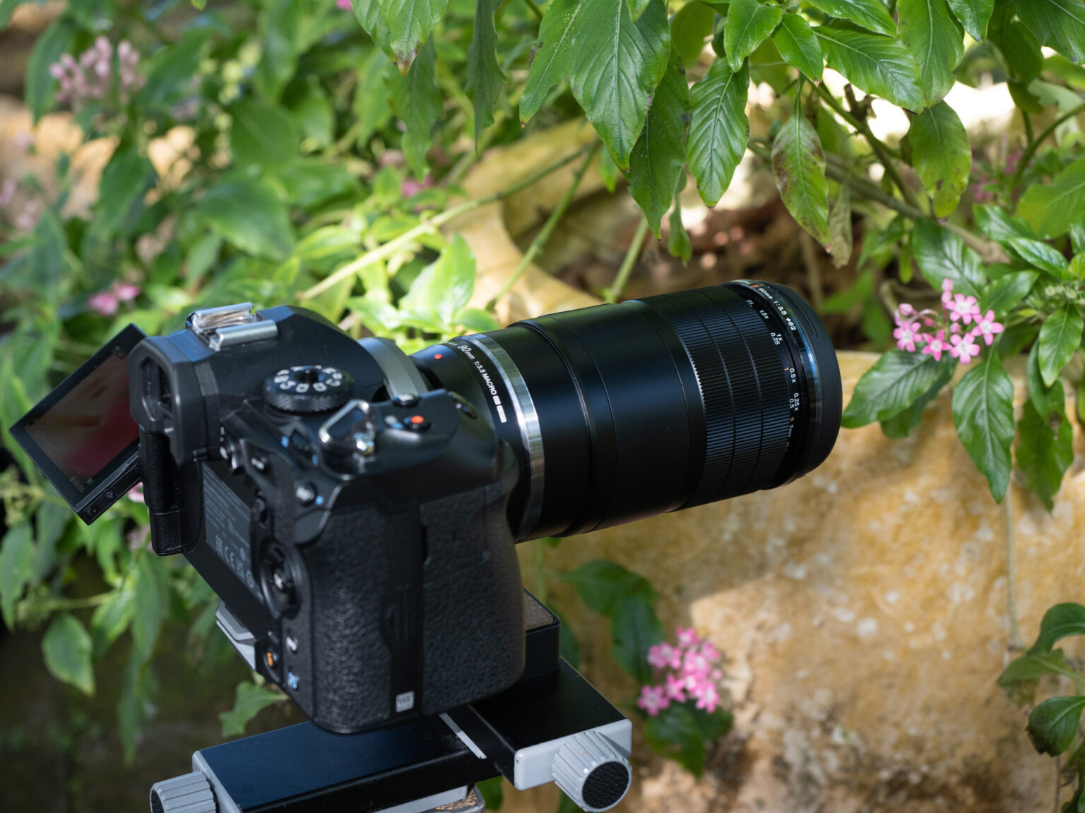 OM SYSTEM M.ZUIKO DIGITAL ED 90mm F3.5 Macro IS PROレビュー｜“宇宙からバクテリアまで”の思想を受け継ぐ超高倍率マクロレンズ | ShaSha