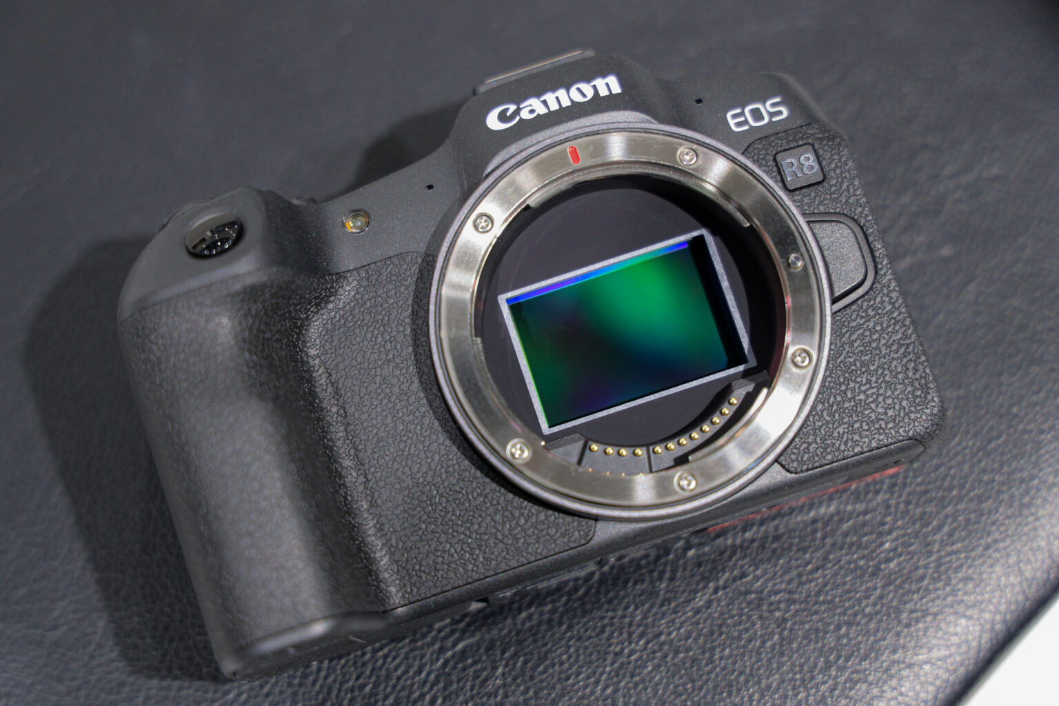 キヤノン EOS R8登場！｜小型・軽量で最新機能を搭載した万能カメラ | ShaSha
