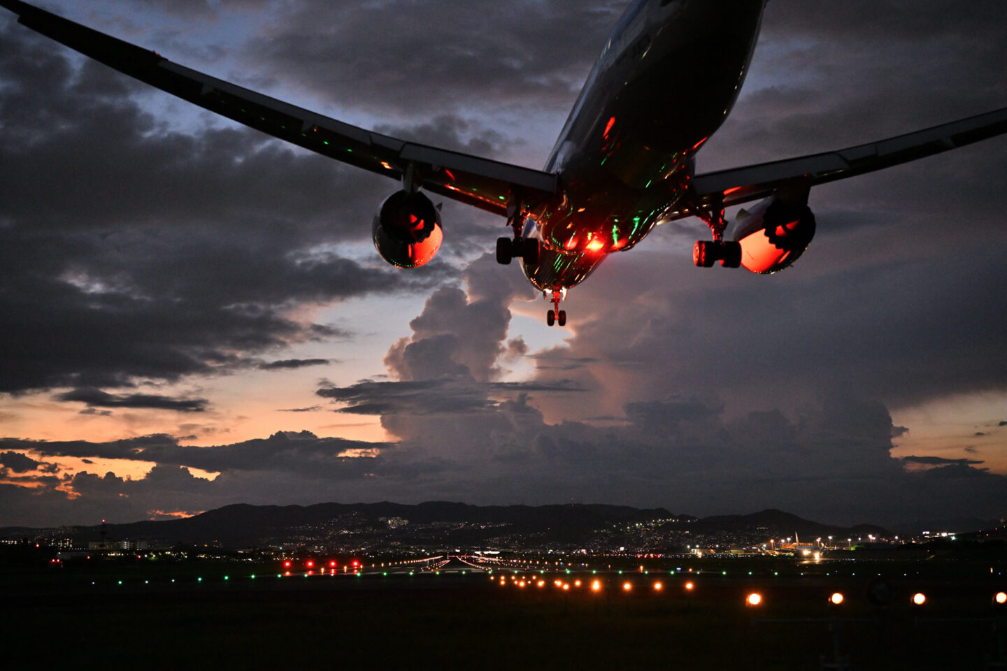 ニコン Z 8 レビュー｜飛行機モード“で”語り尽くす | ShaSha