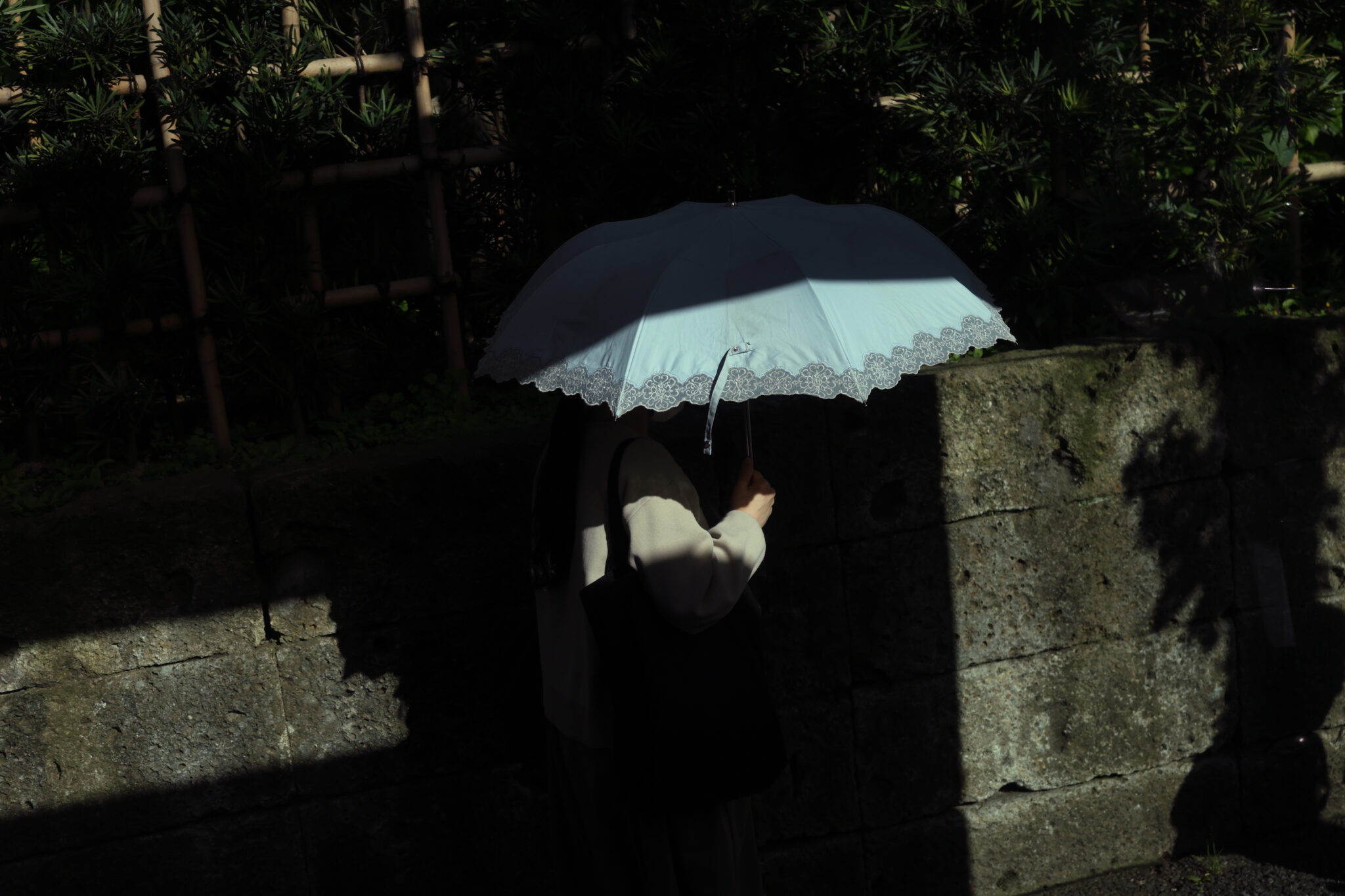 キヤノン EOS R8 レビュー｜日常や旅先での撮影を気軽に楽しめるフルサイズミラーレスカメラ | ShaSha