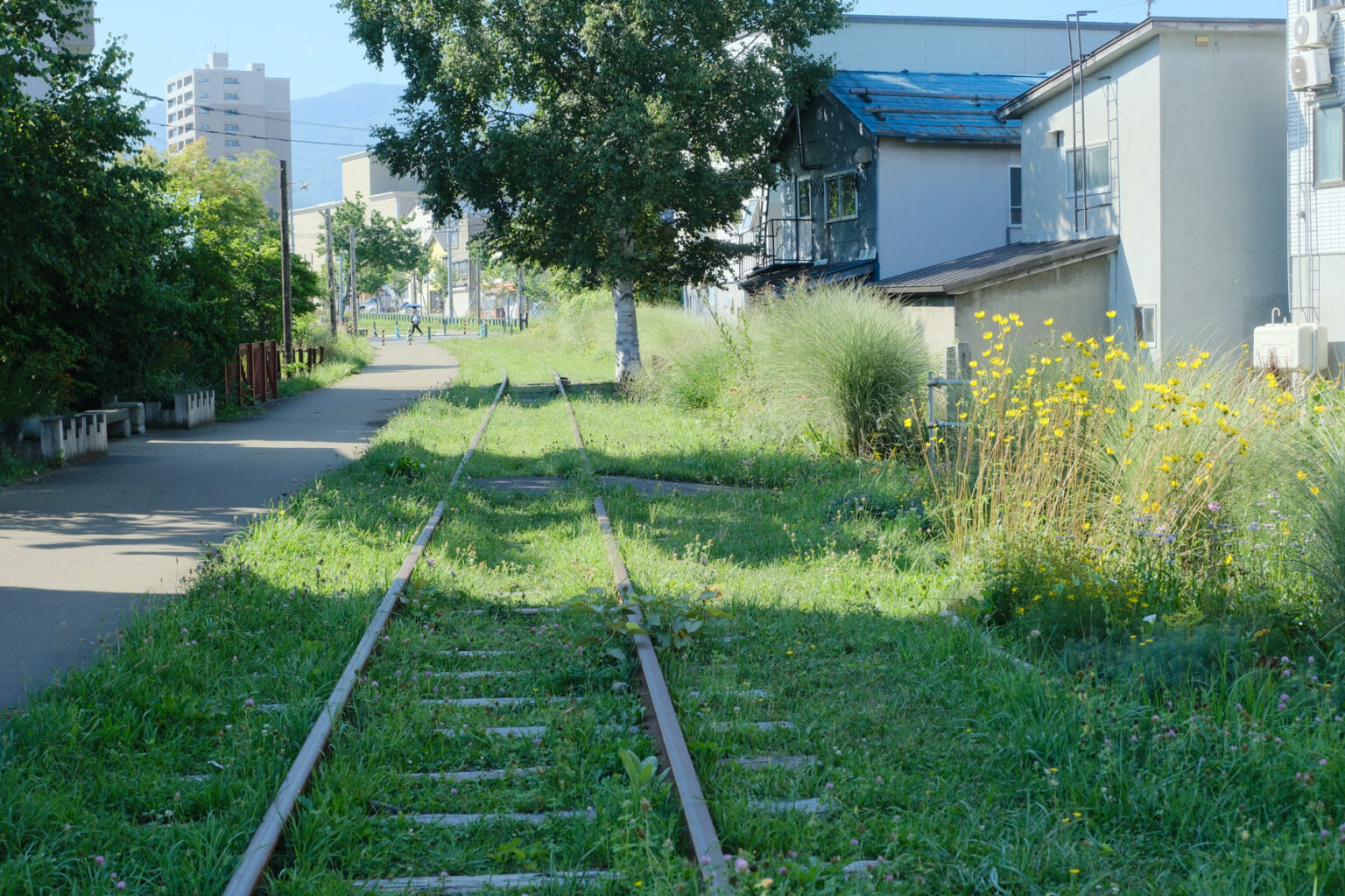 トラベルカメラ「富士フイルム X-S20」と楽しむ、小樽さんぽ | ShaSha