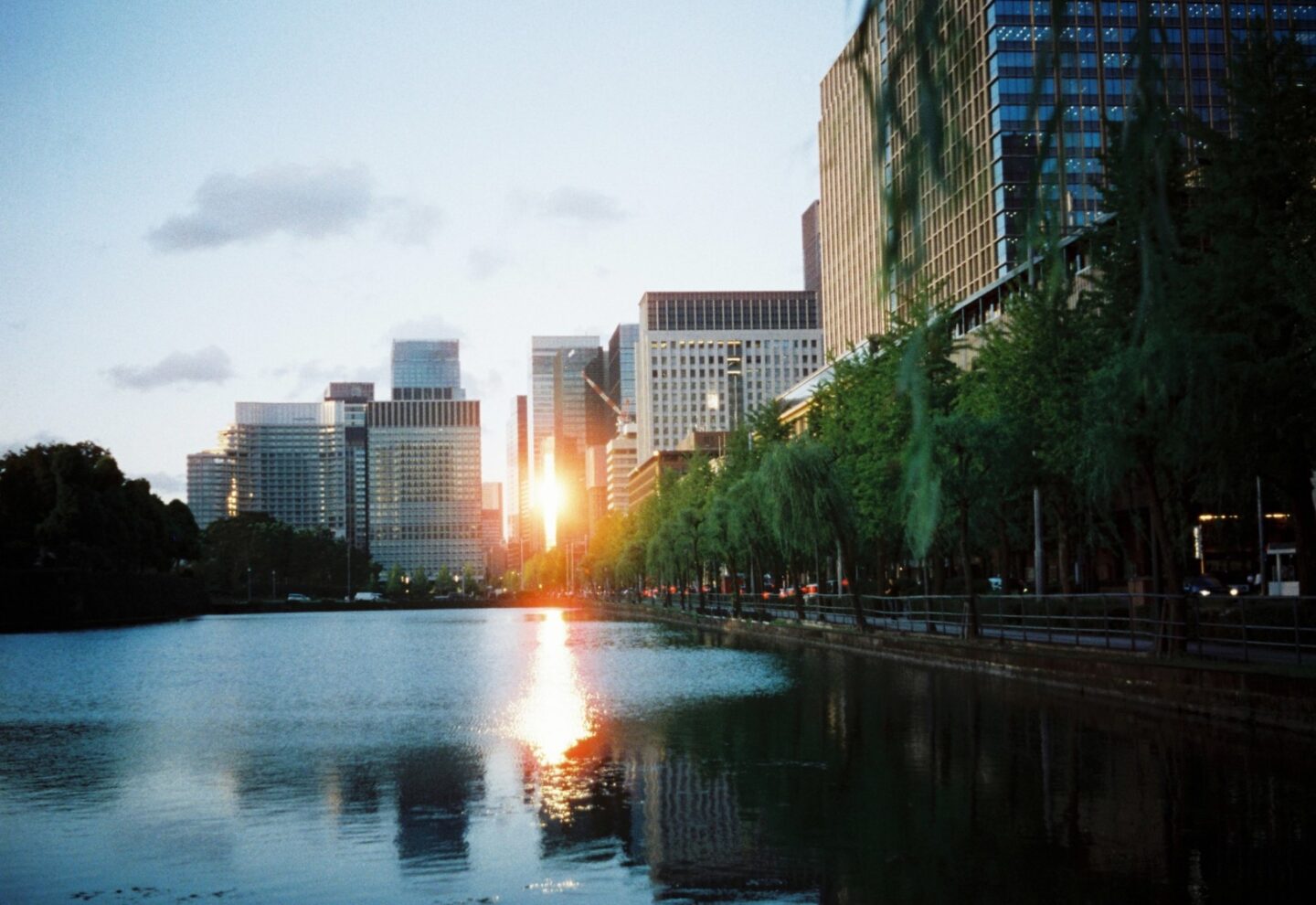 MARIXの新しいカラーネガフィルム『MARIX aircolor 100』。社長が語る製造秘話と一度使うと”また使いたくなってしまう”3つの ...