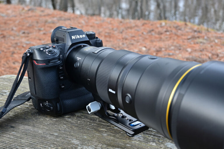 ニコン Z 9 レビュー｜Ver.4.10で追加された鳥認識AFの実力 | ShaSha