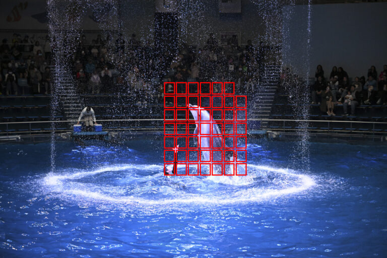 どんなシーンも逃がさない、高い信頼性と機動性のオールマイティミラーレス機 ニコン「Z 8」 | ShaSha