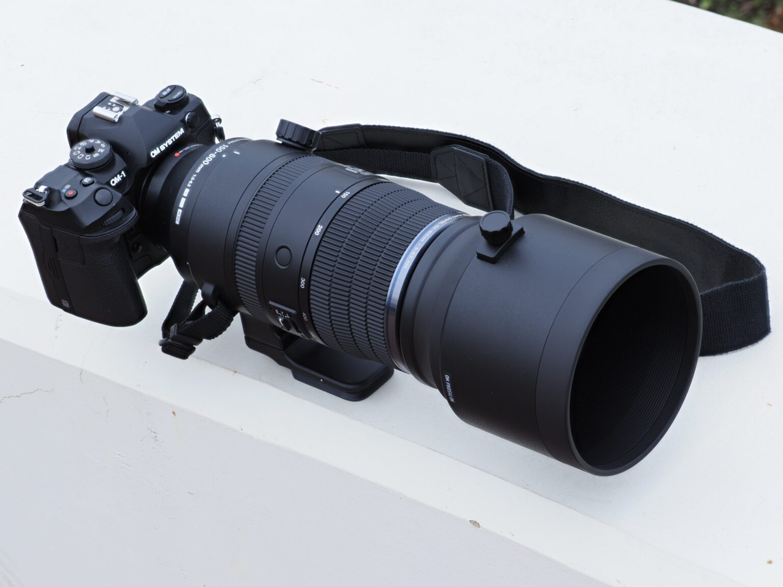 OM SYSTEM OM-1 Mark II ＋ M.ZUIKO DIGITAL ED 150-600mm F5.0-6.3 ISでの野鳥撮影｜ 唯一無二の超望遠システムをレビュー | ShaSha