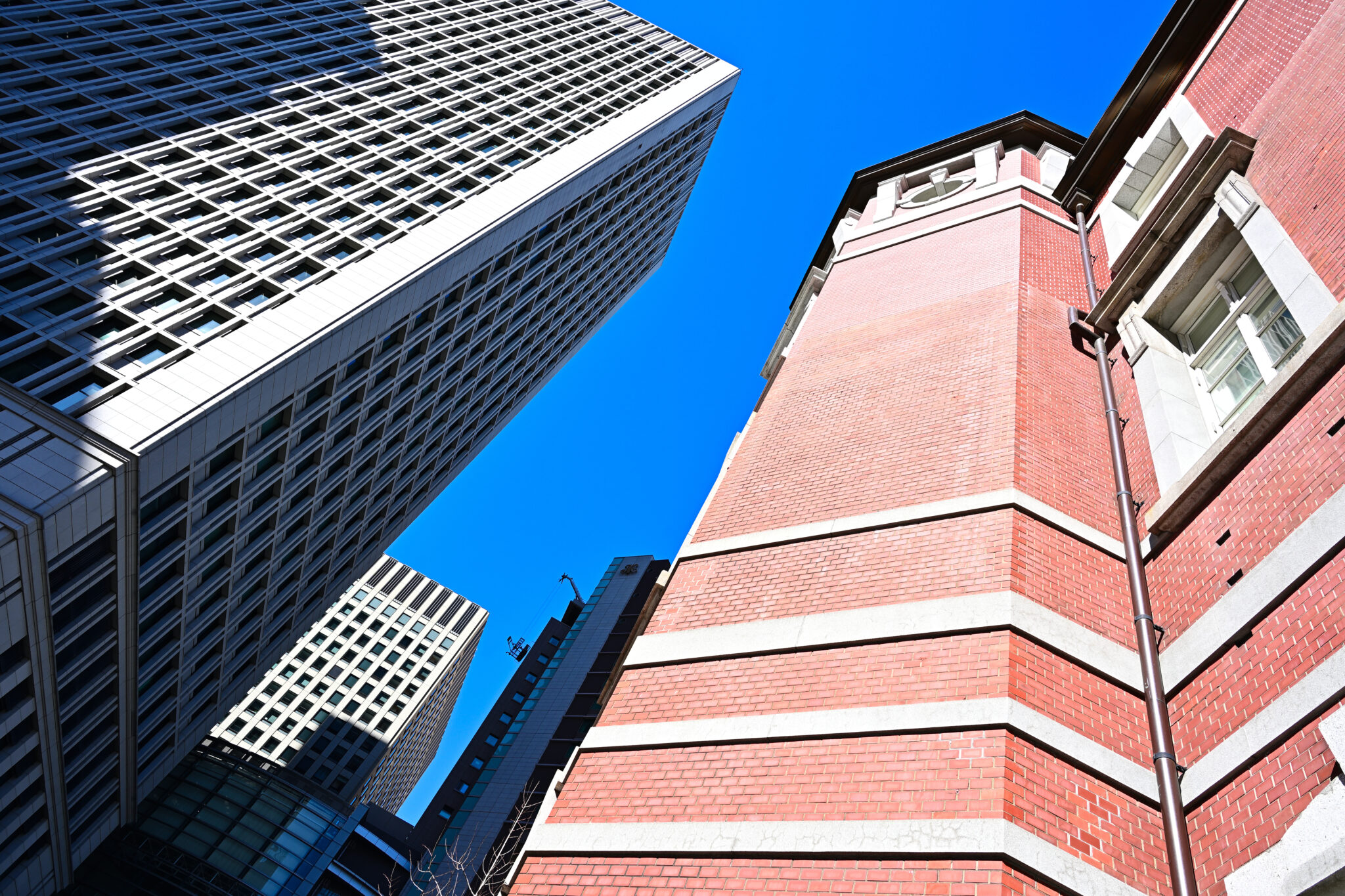 ニコン NIKKOR Z 24-50mm f/4-6.3｜薄型・軽量で自然な写りが好印象の標準ズームレンズ | ShaSha