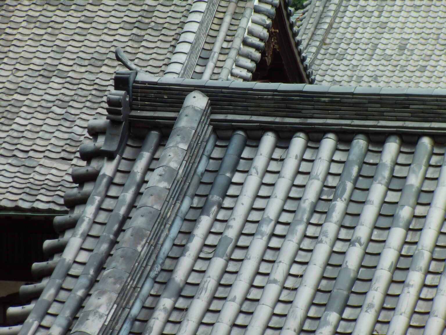 光学5倍ズームで静止画も動画も楽しめる！ケンコー・トキナーのコンパクトデジタルカメラ「KC-ZM08」｜リアカメラ搭載で自撮りも思いのまま | ShaSha