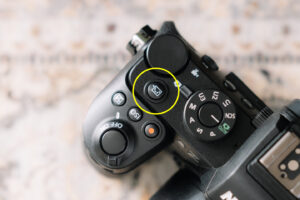 撮ることを夢中にさせるカメラ、ニコン Z50II | ShaSha