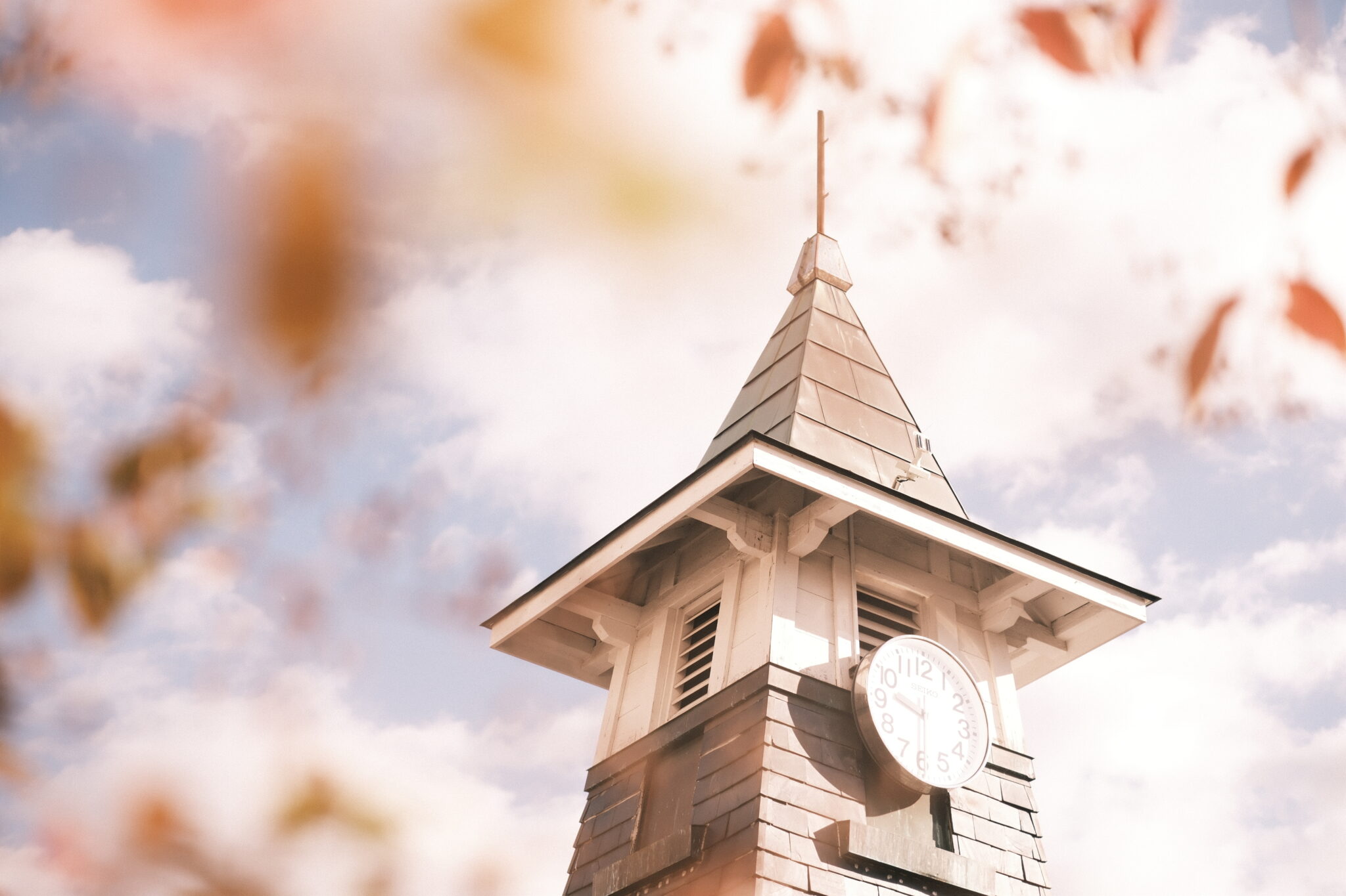 記憶やこころを写しだすカメラ 富士フイルム X-S20｜鈴木さや香 | ShaSha