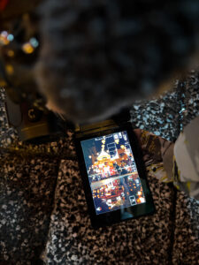 ニコン Z50IIで描く旅と日々のスナップ | ShaSha