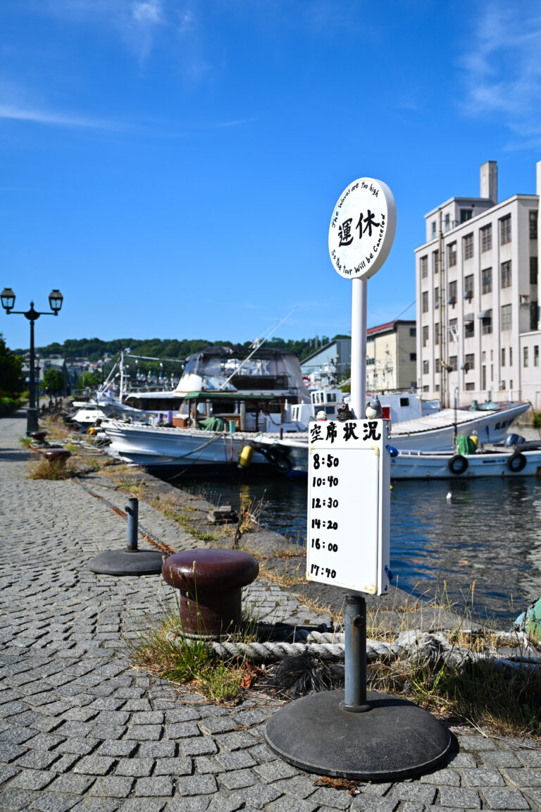 初心者におすすめのカメラ『ニコン Z5II』｜写真家 水咲奈々 | ShaSha